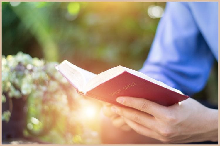 Fundamentos basicos – Escuela Bíblica